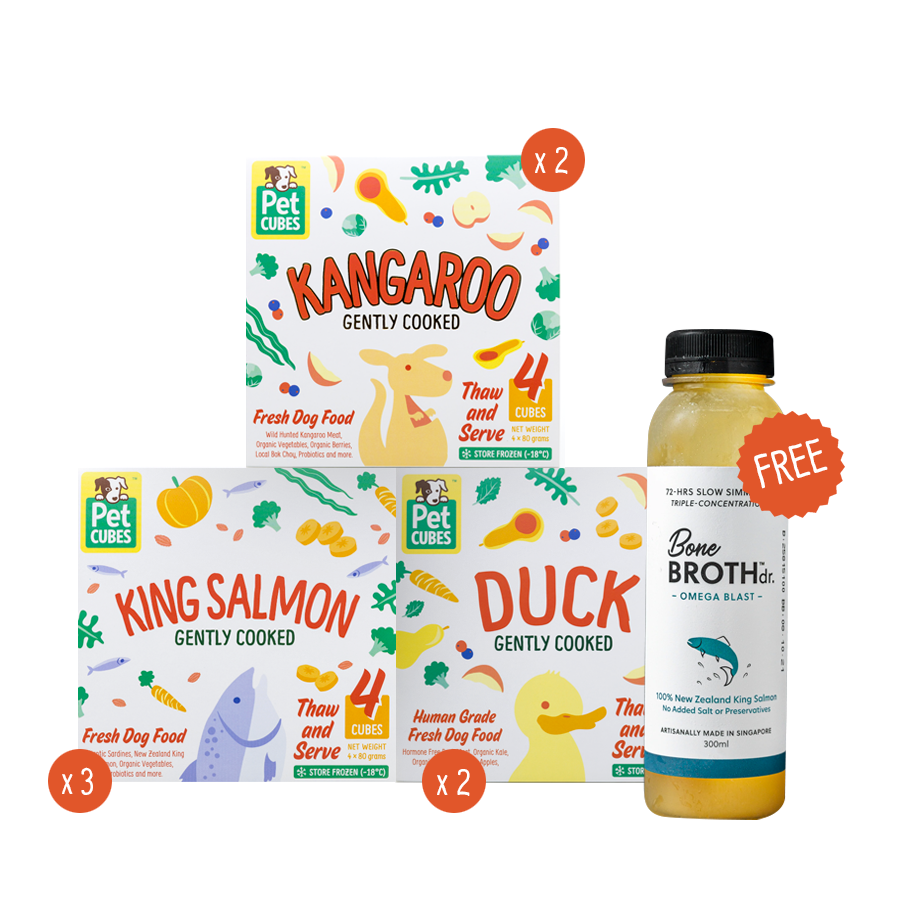 Premium Protein Bundle – PetCubes